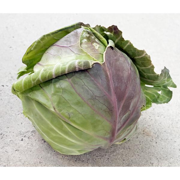 ※小さめです。農薬も肥料も使わず、自然のあるがままに限りなく近い究極の自然農法で作った、きゃべつです。無肥料での巻きもの野菜の栽培は難しいところもありますが、手間ひま惜しまずお世話してできました。生産者は熊本県の吉田よしさん。アレルギーなど...