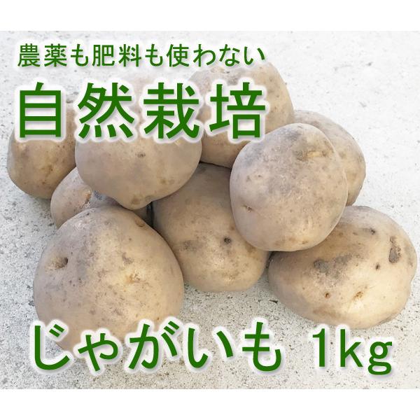 ※8月18日頃の入荷予定農薬は使わず、肥料も土に施さず、太陽と雨の自然の恵みと、大地の持つ力を最大限に発揮させて作った、究極の自然栽培農法のじゃがいも（男爵）です。生産者は北海道の秋場知則さん、無肥料・無農薬での自然栽培の匠、父和也さんから...