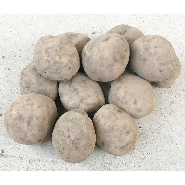 ※個数はその時の大きさにより変わります。※小さめ、直径4〜7cmくらい。農薬は使わず、肥料も施さず、手間ひまと愛情をこめて育てられた、究極の自然栽培農法のじゃがいもです。生産者は、北海道の自然栽培の哲人秀さんとも言われる父から、この究極の農...