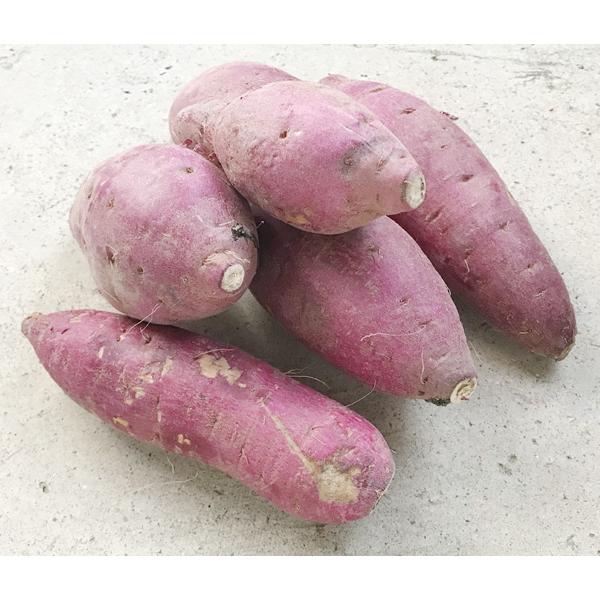 ※個数はその時の大きさによって変わります。※形は丸かったり、長かったり、基本いびつで、大小混合となります。農薬も肥料も使わない、究極の自然栽培農法で作りました。生産者は30年以上、自然と共生する農法で野菜を作っている熊本県の豊永佐代子さん。...