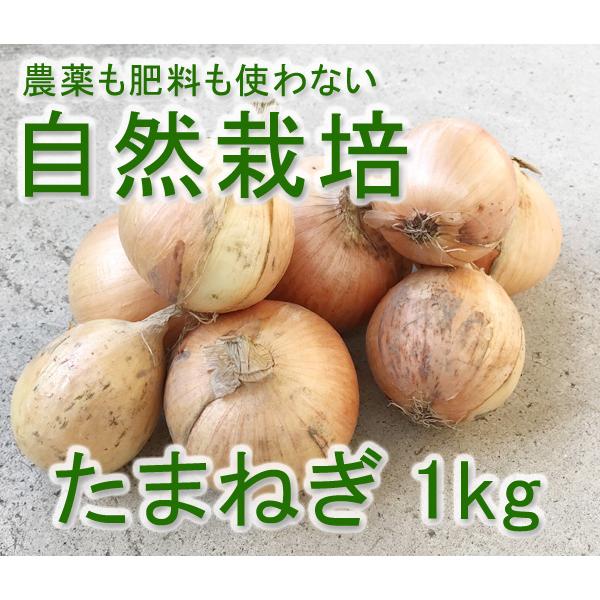 ※直径4〜7cm前後くらいの大小混合、サイズにバラつきがあります。※個数はその時に大きさにより前後します。農薬も肥料も一切使わない、究極の自然栽培農法で作りました。生産者は30年以上、この究極の農法を続けてきた熊本県の豊永佐代子さん。時には...