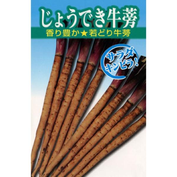 特性白肌美形の超極早生種で香り高く、風味の良い若どり専用のゴボウです。播種後、最短70日前後で収穫となり、根長30〜40、根径1.5内外のスリム型で、肉質やわらかく、食物繊維も多く、サラダ向き。通常のゴボウと比べ、長さが半分なので、抜きやす...