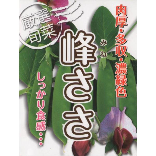 品種の特徴樹勢が強健で、ウドンコ病に強い絹さやえんどう。耐暑・耐寒性に優れ、低段より開花・サヤ成りします。草丈はワイ性で、分岐は3〜4本。ガッチリと馬力のある草姿です。暖地の盆明けから秋まきの年内〜翌春穫りの露地栽培や一般地でのハウス栽培に...