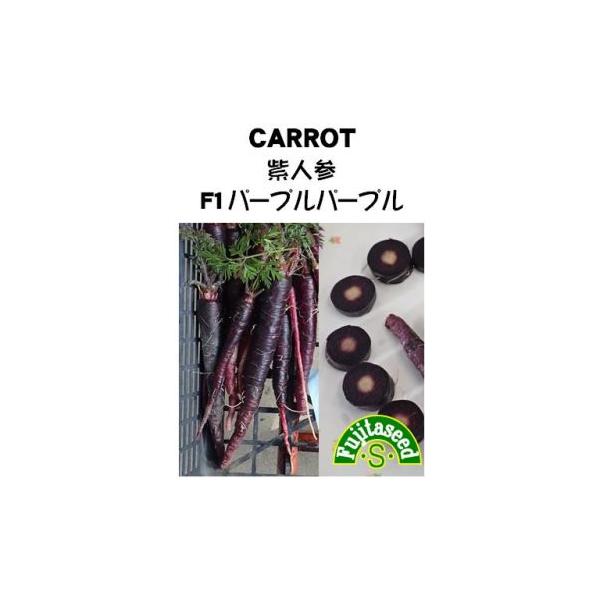 長さ約１７〜２０ｃｍ。外皮は濃い紫色のニンジンです。彩りをいかしてサラダや付け合せ、ピクルスなどに利用します。【種まき（一般地域）】 ７〜８月　　【発芽率:難易度】中級者向　【栽培方法】一般種の人参と同様に栽培します。発芽するまでは水を切ら...