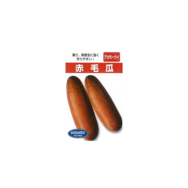 沖縄在来のつけうりで果長２５cm位、果重は１ｋｇ位になり、果径は８〜１０ｃｍで果色は赤褐色。性質非常に強く、病気、虫害はほとんど無く、無農薬栽培が可能。外見とは違い果肉は白色。味は淡白で歯ざわりがよい。