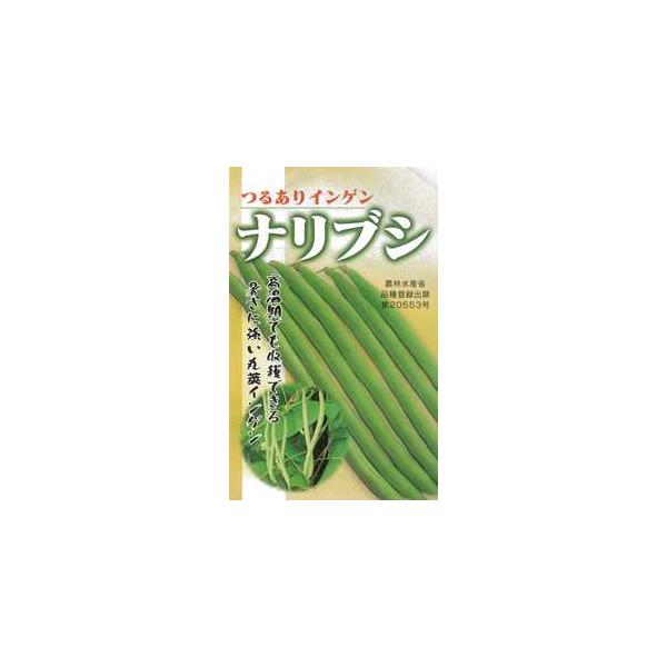 インゲン豆の結莢率は高温によって低下するが、耐暑性が高い丸莢のインゲン豆ナリブシは高温条件でも結莢率の低下が小さく、若莢を生産することができる。ナリブシはハイブシより莢が長く１３〜１５ｃｍで収穫する。収穫開始までの日数は５０〜５５日。若莢の...
