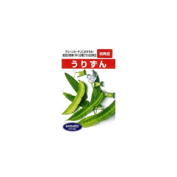 当品種は四角豆の中でも日長に鈍感で長日期でも開花し、いわゆる早出しに有利。莢に４枚のヒダがある珍しい莢豆。シャキッとした食感で、莢インゲンと同じ様に茹でたり、天ぷら、炒め物などに利用する。若さや、完熟種子、新芽、塊根を食用として、ほとんど捨...