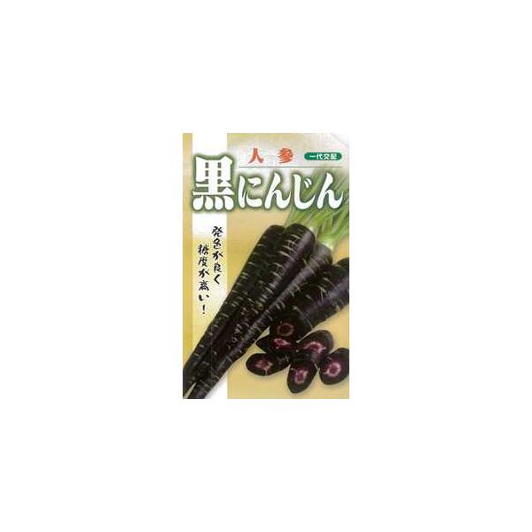 珍しい黒紫（ほとんど黒色）の人参です.根内部も黒紫でわずかに芯部が白色になる。根の長さ２５〜３０ｃｍ、肩部の直径は約５〜６ｃｍ。極早生で生育旺盛。作り易い。人参の中では極めて糖度が高く10〜13度になる。アントシアニンを豊富に含み、ジュース...