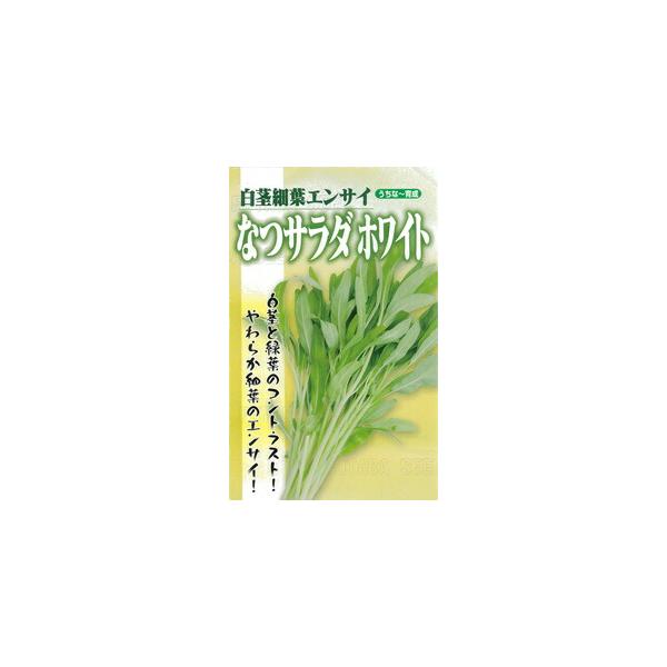 なつサラダと同様、細葉で極立性のエンサイ。茎が白く葉とのコントラストが目を引く。クセが無く生でサラダとして口当たりが良く柔らかくておいしい。畑でも栽培できる、つるなしタイプ。サラダとして若獲りの場合は播種から2〜3週間後と短期的に収穫できる。