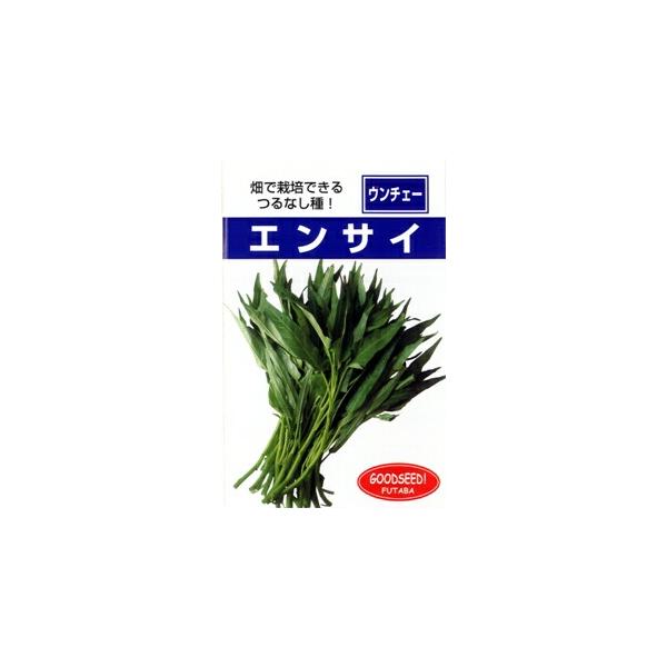 沖縄で広く栽培されているエンサイ。ホウレン草のように畑でも栽培できる、つるなしタイプの品種。草姿は立性で中細葉なので収穫しやすい。非常に暑さに強く夏場の葉野菜として重宝する。油炒めがポピュラーだが、味にクセがないので、いろいろな料理に利用できる。