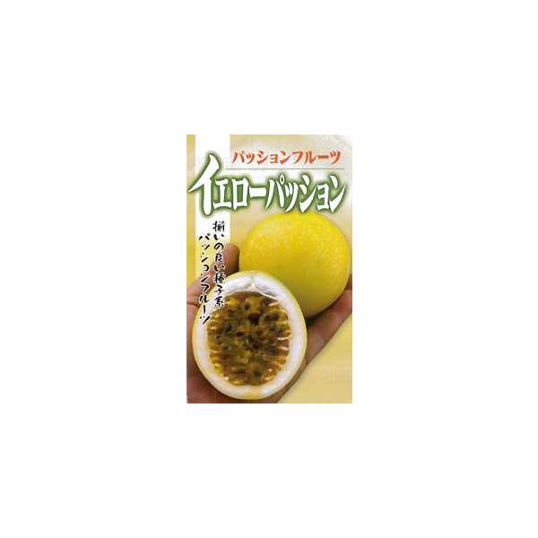 パッションフルーツが種子で登場しました。珍しい黄色い皮で甘酸っぱいおいしさです。果径６〜８ｃｍ、果重１００〜１４０ｇの実が成ります。