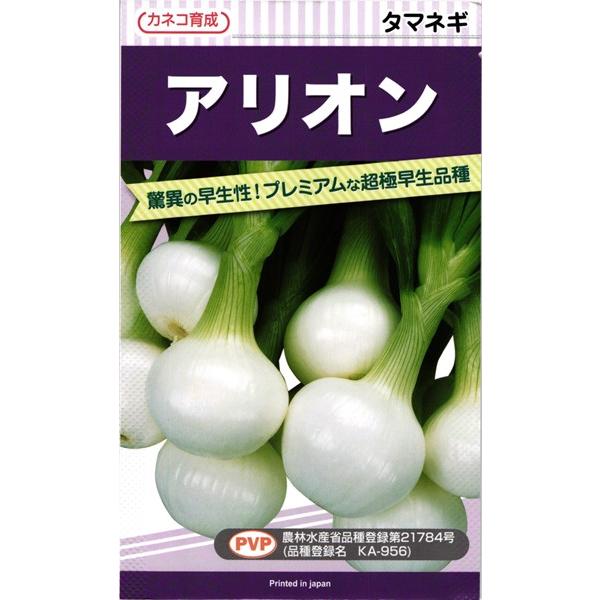 暖地3月上中旬収穫の超極早生品種です。草姿はやや立性、短葉でコンパクトながら、球肥大は良好です。超極早生品種としては根量が多く、抽苔・分球等の格外球の発生も少ないので、収量性に優れます。玉の形状は球形比70%程度の甲高によく揃います。りん片...