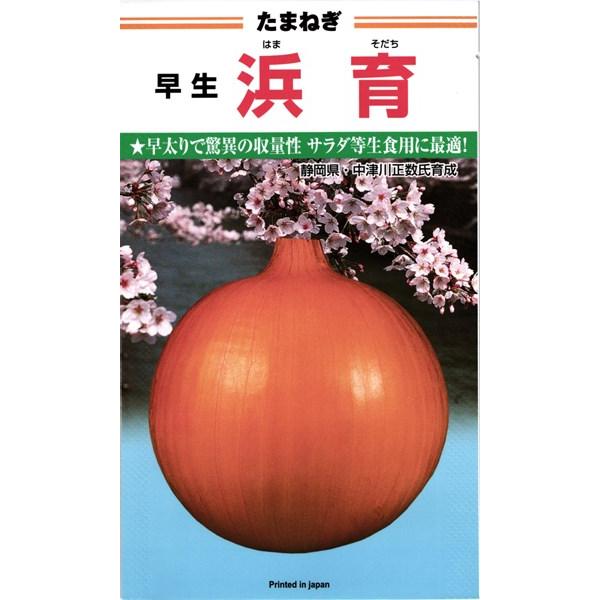 秋まきの青切り用早生種で、収穫期は暖地で4月中旬、中間地で4月下旬から5月上旬です。球は甲高(球形比80〜85位)で、締まりも良く、球重は250g前後となり4月どり用品種としては極めて多収です。長球、分球、抽苔などの規格外球の発生は少ない品...
