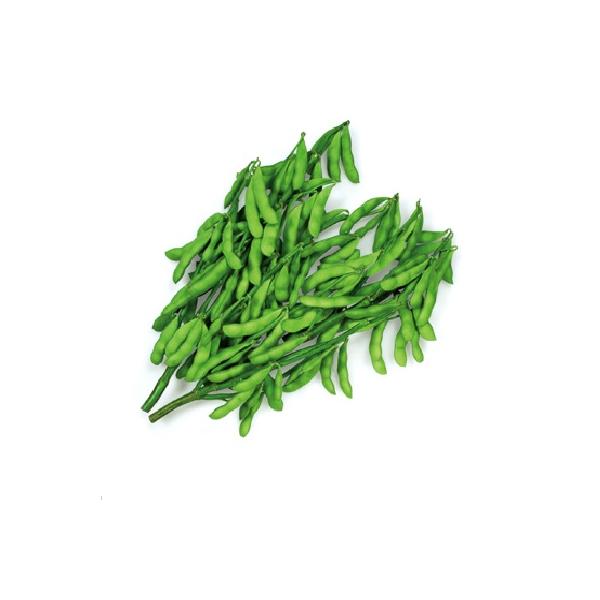 ●トンネルから露地まで、食味は絶品、茶豆風味。●茶豆特有の芳香を持ち、食味のよさに特に影響するショ糖含量の多い食味抜群の品種です。●茶豆風味を有しますが、エダマメ収穫時の子実色は鮮やかな緑色、完熟種子色は黄色です。●毛茸は白く、ゆであがった...