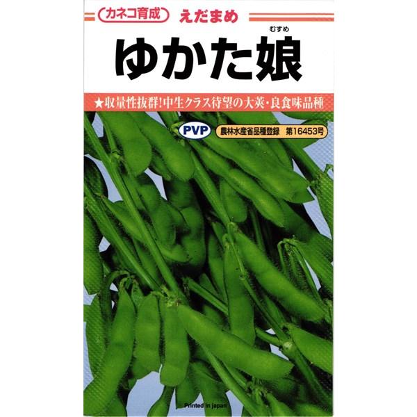 露地栽培に最適な中生品種です。強い甘みと独特の香りを有し、食味に優れます。倒伏には強く、着莢性に優れ、3粒莢率の高い多収品種です。莢は白毛・大莢・濃緑色で市場性に優れます。莢色の濃緑期間の長い品種です。