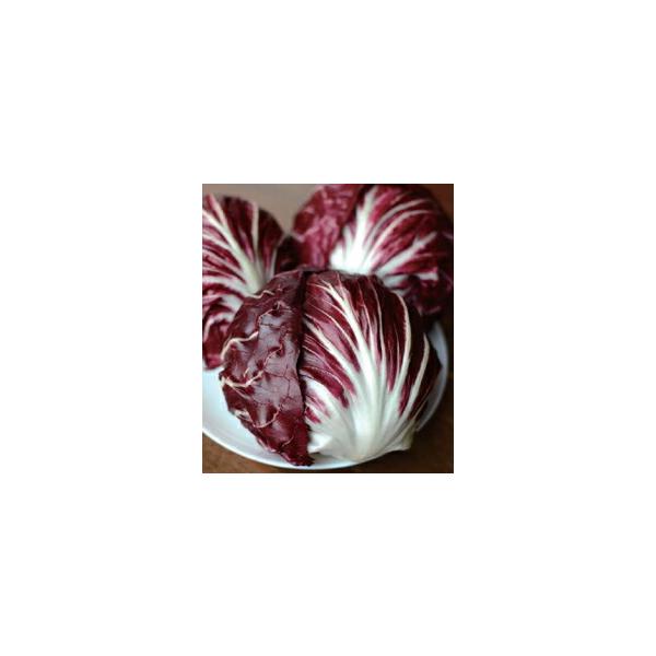 ◆特性定植後約55日で収穫できる極早生種です。球内色は濃い赤紫色となり、品質に優れ、揃いも良好です。極早生でありながら肥大性があり、収量性に優れます。秋蒔き栽培の他、晩抽性がありますので春蒔き栽培も可能です。◆栽培のポイント抽苔を防ぐため、...