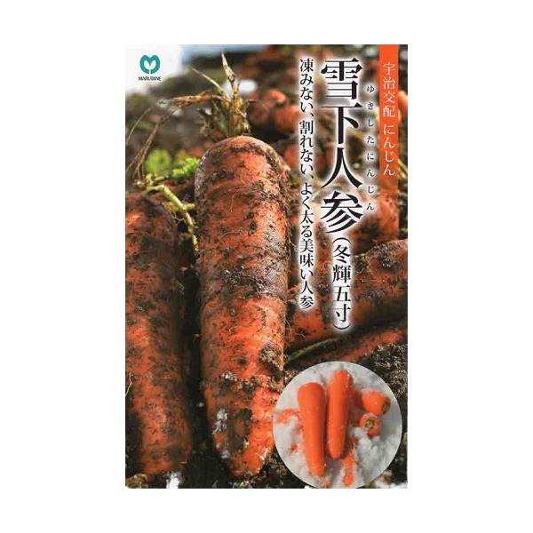 品種の特徴夏まき冬穫りに適する越冬五寸人参で、吸込性が強く、厳寒期の肩部の腐敗・裂根・二次根の発生も少なく、収穫率が高いです。播種後100日位で根長18cm前後、根重200g位となり、鮮橙紅色で肉質・尻づまり共に良く、収穫後の洗浄作業が楽で...