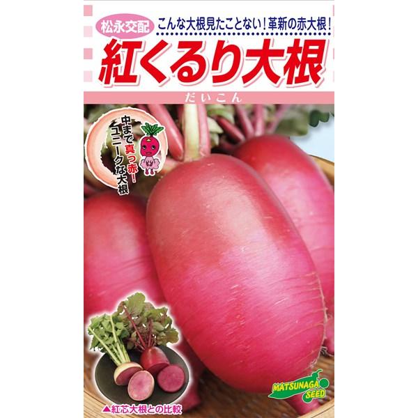 ■主な特長・皮も中も赤く、肉質は柔らかで味わいがあります。サラダや漬物だけでなく、スープなど食べ方は工夫次第です。・最適期播種で45日ごろより300g、その後1kg程度の大きさまで順次収穫できます。