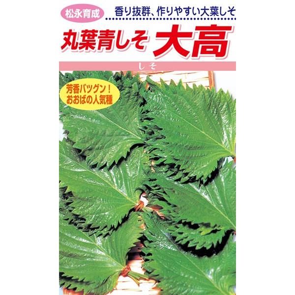 主な特長鮮やかな緑色で香りが大変良い青丸葉しそです。同系の品種に比べ肉厚ですので、ツマやサラダ用で扱いやすく、また、香り、色ともに良く見栄えします。晩抽性を備えており、同系の青紫蘇品種に比べて２&amp;#12316;３週間花芽の上がりが遅...