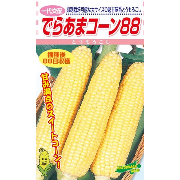 ■主な特徴●粒皮が柔らかくて、糖度の高い食味重視の極良質モノカラー（黄色）種です。●中間地のマルチ栽培では、播種後88日程度で収穫ができる。●中間地・暖地では、7月下旬&amp;#12316;8月中旬まき10月収穫の露地抑制栽培も可能です。...