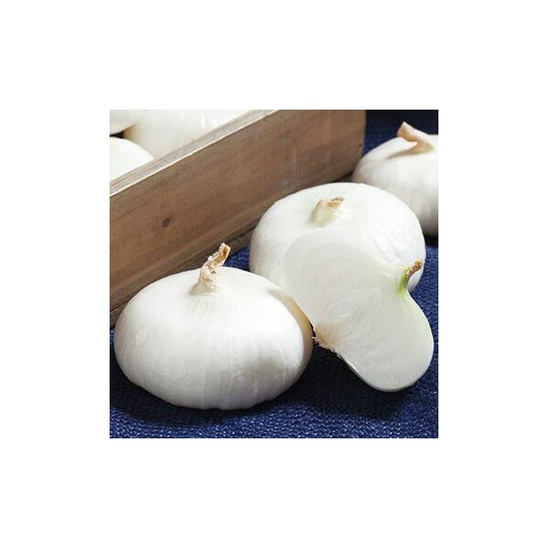 やわらかくて甘い！白タマネギ！