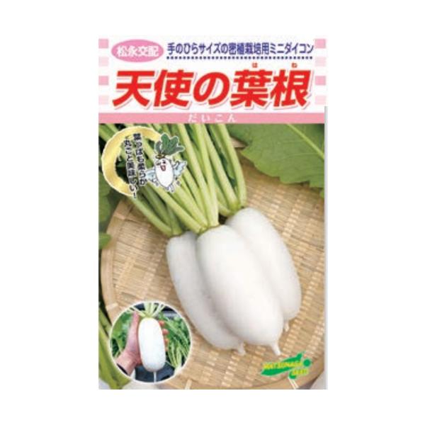 品種の特徴葉が立性の板葉で、隣の株と絡みにくいため、密植栽培（株間10cm）が可能。適期なら播種後40日程度で、手のひらサイズのコロッとかわいらしいミニダイコンが収穫できる。肉質はち密で歯切れが良く、ス入りも遅い為、ミニから少し大きくした短...