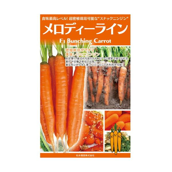 品種特性●バンチング(葉付き収穫)タイプのミニニンジンで、適期栽培で播種後70日頃 から収穫できる極早生品種です。●10cmくらいのミニサイズから、少し収穫を遅らせて20cm程度のやや大きな サイズにしても収穫できる。●通常の五寸ニンジンと...