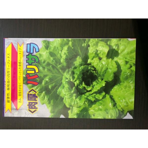 耐暑性、極晩抽の肉厚リーフレタス