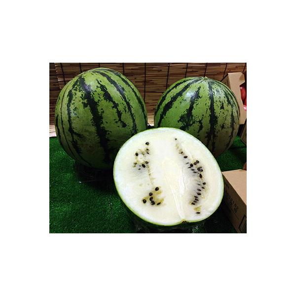 外皮はやや細めの縞が入り、果重は６ｋｇ前後となる。肉質は硬くはないがシャリはあり、黄肉種に近い独特の食感を持つ。肉色は白〜薄いクリーム色となり、糖度と酸味のバランスが絶妙でまるで、食べるスポーツドリンクのようですねと例える方が多い。非常に特...