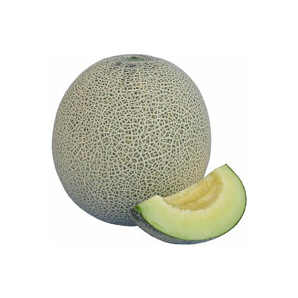 果重１．５ｋｇ〜２．５ｋｇで肥大性を重視した品種、果形は球〜高球形。初期草勢は非常に強く、着果後は徐々に大人しくなり、ツル持ちは中程度。葉の大きさは中〜やや大きく、色は濃い、うどんこ病に強い。果皮色は灰緑色でネットは密に発生する。果肉色は黄...