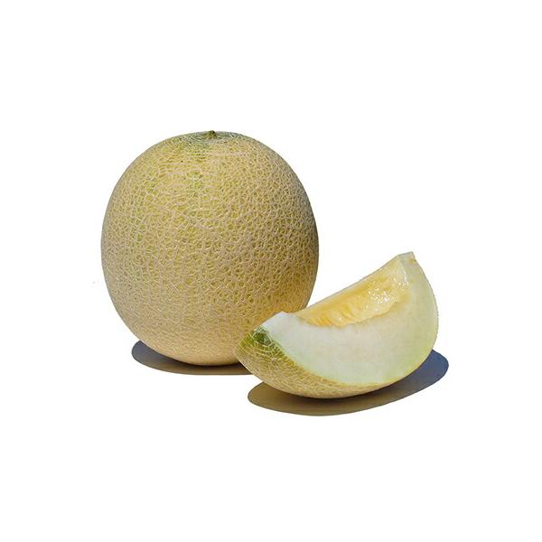 葉はやや小さく、草勢は強め。収穫時から外皮が黄化し初め、収穫後全体的に黄色くなる。大きさは放任で１ｋｇ前後、整枝栽培で１．８ｋｇ前後。糖度は１６度前後で安定するが２０度以上になる能力を持っている。果形は高球系。果肉は白緑色でメルティング質。...