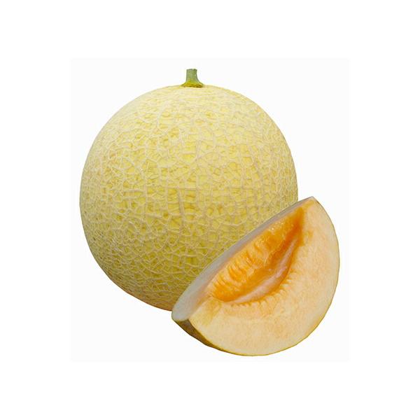 作り易い、地這い栽培用赤肉ネットメロン。果実は１ｋｇ前後で淡黄色皮の美しいネットが入る。 果肉は厚く淡燈色、メルティング質で食味良好。 糖度は１４度程度に安定し、芳香があり香り高い。 草勢は強くウドン粉・ベト病に耐病性。 成熟日数は４３日前...