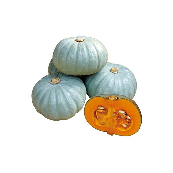 外皮は白皮で粉質度は弊社No1、収穫の目安は交配から３５日、果実は７００ｇ前後で食べきりサイズ。じっくり糖化し長く美味しい期間を楽しめる。収穫直後はホクホクの肉質で貯蔵１ヶ月を過ぎるとググッと糖度が上がり甘くなる。腐敗も少なく貯蔵性抜群、夏...