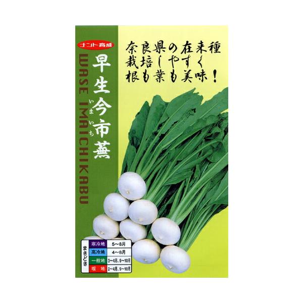 奈良県に古くからある在来種。年々生産量は減少し、近年では今市地区でひっそりと受け継がれていました。小蕪であるが、どちらかといえば葉がおいしく、「葉カブ」として利用される場合が多い。板葉で毛茸も少なく食味は良い。