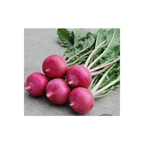 「もものすけ」とは？　知る人ぞ知る幻の「サラダカブ」です。とても肉質は柔らかで、甘みもある多汁質の肉質が特徴です。播種後５５日位で８cm程度の中蕪となるが、もう少し肥大させて１２cm程度まで大きく出来る。葉は約６０cm、茎は淡い緑で薄く紅色...