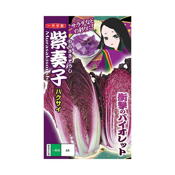 一般の白菜には無い、赤い色(アントシアニン)の発現が優れた赤紫色の珍しい白菜。生育日数は、１０月収穫で約６５〜７０日、１１月収穫で７０〜８０日程度。球重は1.5〜２ｋｇ程度のやや中玉となる。強光線下では外葉は葉緑素が多く生成され緑色が強くな...