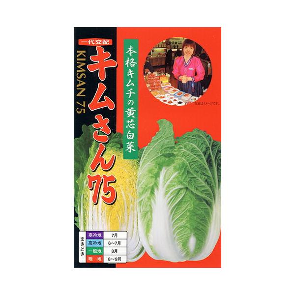 白菜はキャベツと同じアブラナ科の野菜で、日本では冬の野菜として多く栽培・利用され親しまれています。地中海沿岸が原産地とされていますが、中国北部で７世紀頃に最初の白菜の形が誕生したと考えられています。結球する印象が強いが、しない品種も多く結球...