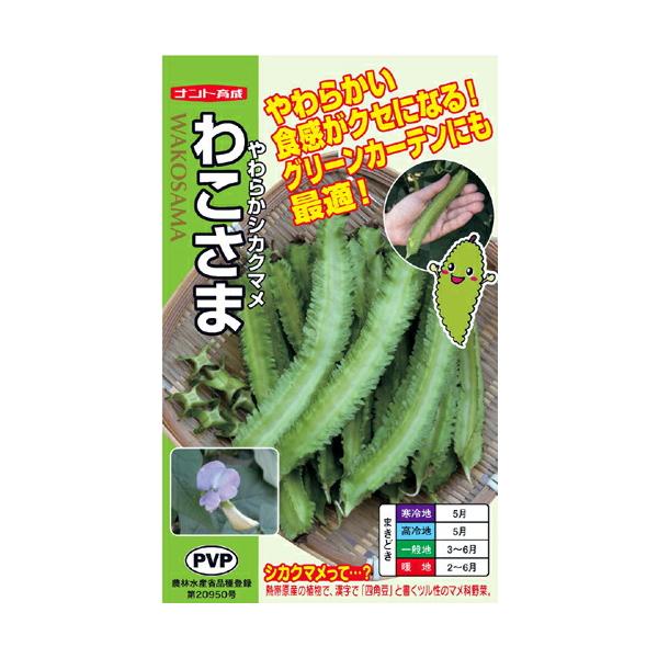 高温期に生育が旺盛な、つる性のマメ科作物。莢に4枚のヒダがある莢豆です。低温には極めて弱いので、遅霜の心配が無くなってから播種します。株間1m以上、畦間1.5m以上で栽植密度は荒め。元肥は少なくてもOK。播種から約2ヶ月後より収穫が始まり、...