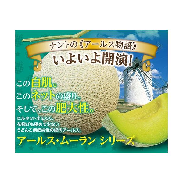 現在、アールスメロンと呼ばれているのは、大正時代にイギリスから導入されたアールス・フェボリット種に代表される、高品質のネット系メロンを日本の気候風土に合わせて品種改良したものを指す。栽培には一定のスキルが必要であるが、美しい外観をまとい、糖...