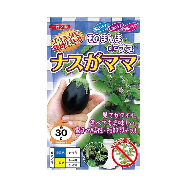 鉢植え栽培に最適の短節間ナス。鉢植えなら草丈５０ｃｍ程度となる。整枝などは不要で、放任栽培で良い。果実は長さ４〜６ｃｍ、果重４０ｇ前後。短卵型の小型ナス。ヘタは鮮やかな緑色で、果色は紫色。雌花の数が多く、１株から３０〜４０果以上収穫出来る。...