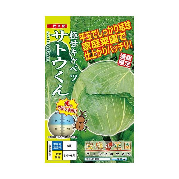 播種後７５〜９０日で収穫となる早生種。草勢は強く外葉は大きい。やや平玉に仕上がり、球重1.5〜1.7kg。耐暑性は高く高温肥大性は良い。在圃性は中程度。葉質は柔らかく食味は極良、霜の直撃などの耐寒性は低い。糖度が非常に高く芯まで甘い。サラダ...