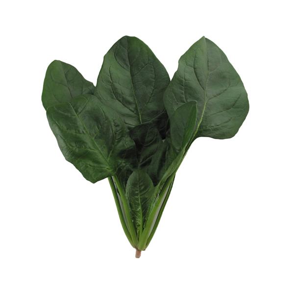 品種の特徴ベト病レース1〜15,17,19に抵抗性をもつ秋春まき品種。葉は中間葉で濃緑、テリがある。軸色も濃く、太くて揃いが良い。生育の早さは中生で、弊社「ビッグサマー」と比較してやや早い。フザリウム耐病性を持ち、株腐病や立枯病に比較的強い...