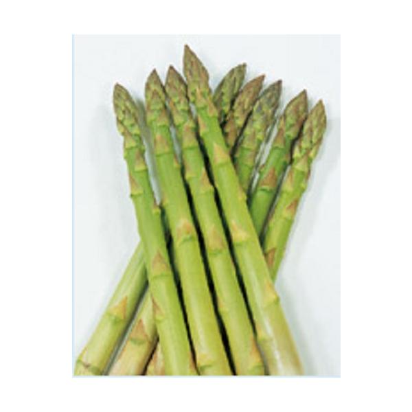 品種特性草勢強く、「ウェルカム」より20〜30％多収で、L〜2Lの割合が多く、収穫物のそろいが非常によい一代交配種です。頭部のしまりよく、濃い鮮緑色でアントシアンの発生は少ないです。茎葉や株の病害に強く、欠株や衰弱株の発生が少ないため、長年...