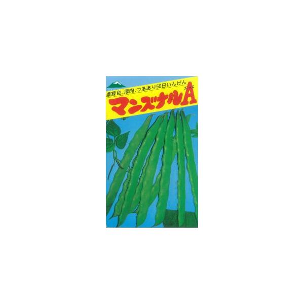 マンズナルいんげんの改良種で、播種後50日で収穫できる濃緑色の肉厚な、つるありいんげんです。莢は25ｃｍ、幅2.2の濃緑色で肉厚の超広幅種です。大莢になってもやわらかく、非常においしいすじなしいんげんです。莢は低節位から着き、長さ15、幅1...