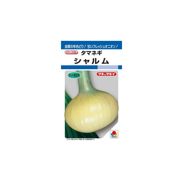 ●セット栽培による年内出し専用種。草勢は旺盛で、玉は安定してよく太り、作りやすい。●年内の端境期にとれる良質で甘みのある、多収のフレッシュ・オニオン。●玉は厚みのある中甲高球で、よくそろい、分球は少ない。1球平均250g。