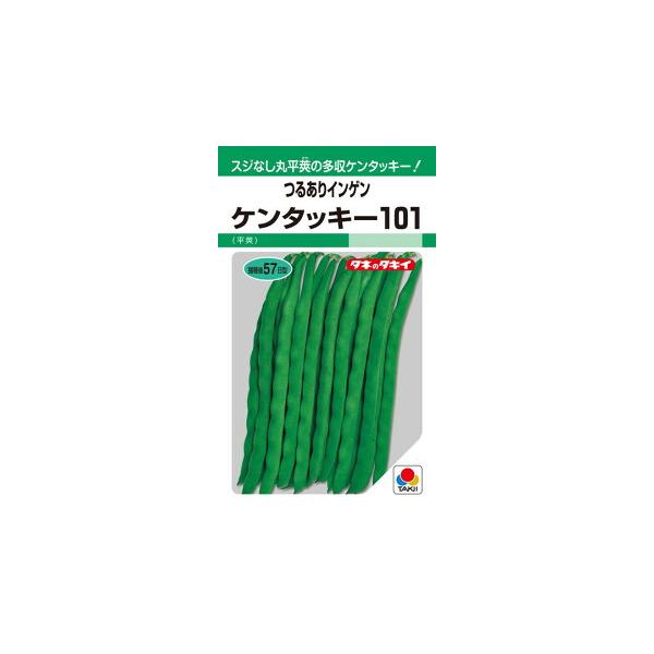 ●ケンタッキータイプの中では低節位から着莢し、後半まで収量性の高い多収種。●莢は長さ21〜23cmの丸平莢でスジなし。曲がりと子実の凹凸が少なく、そろいがよい。●草勢旺盛で環境適応性にすぐれ、高温期はもちろん、低温少日照下でも安定した栽培が...