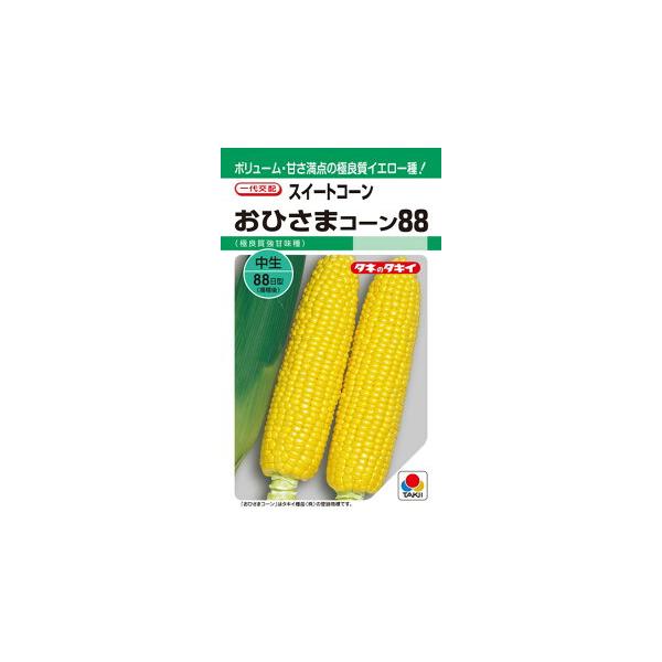 ●ボリューム満点穂重は苞葉付きで420g前後。穂形はボリューム感がある。粒列の並びがよく、穂先までよく着粒し、先端不捻が少ない。●極良質の食味粒皮が特にやわらかく、糖度が高い食味重視の極良質黄色粒種。粒色は濃いイエローで光沢がある。●熟期は...