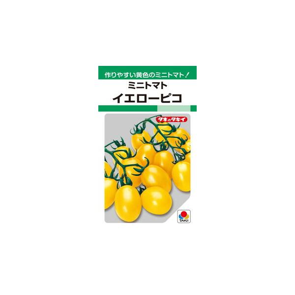 ●果重は20g程度で、果形は球〜楕円形の美しい黄色に着色するミニトマト。●糖度は6〜7度で、食味にすぐれる。●裂果の発生が少なく、出荷率が高い。●早生で、1果房に12〜13果着果する。●草勢が強く、栽培しやすい。