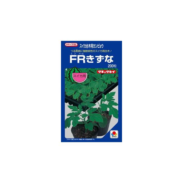 ●連作地で発生するスイカおよびカンピョウのつる割病に強耐病性をもち、急性萎凋症にも強い。●草勢は中位で着果は極めて安定し、果実のそろいがよく秀品率が高い。●空洞果や果肉の黄帯の心配はほとんどなく、品質がよい。●子葉は大きくなりすぎず、接ぎ木...