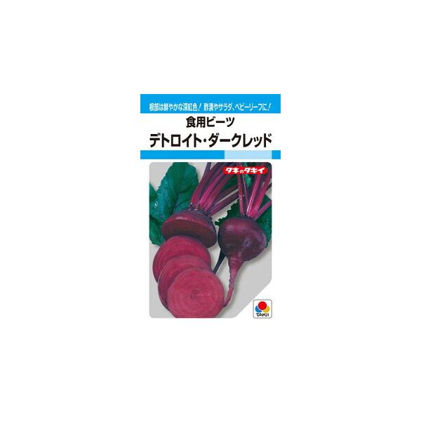 ●ビーツの中でも強健で作りやすい良質種。●葉柄も根も紫紅色に着色し、草丈30cm程度となる晩生種。●根部は整った球形で中まで深紅に着色し、料理の彩りに美しい。●肉質はやわらかく、緻密で甘みが強く、酢漬、ゆでてサラダ料理に利用する。